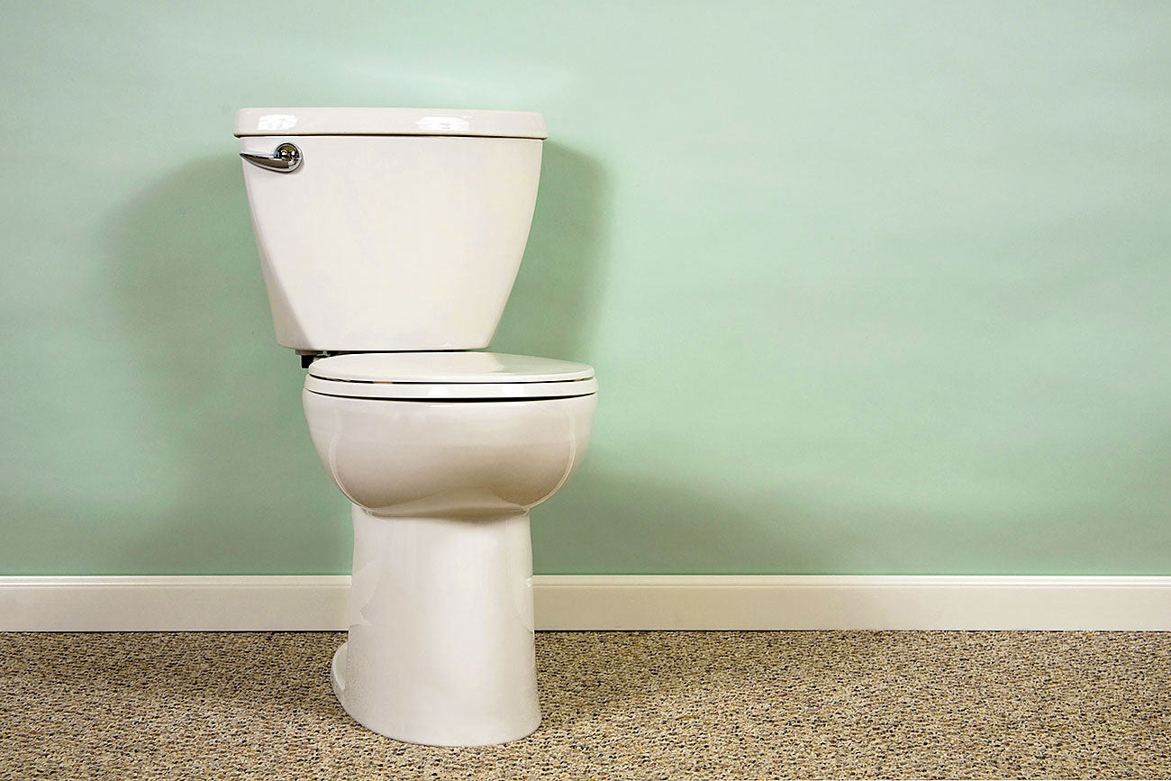 Better poop in just 3 days – BioLounge